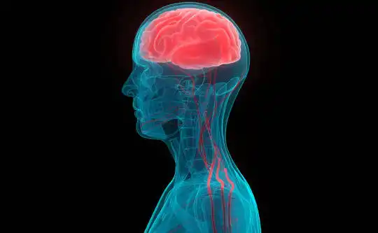 3 Ways Physical Activity Changes The Brain's Very Structure | Mighty ...