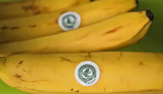 Food And Drink Products With Pro-environment Ecolabels Are More ...